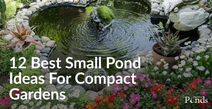 12 Best Small Pond Ideas for Compact Gardens – Midwest Ponds