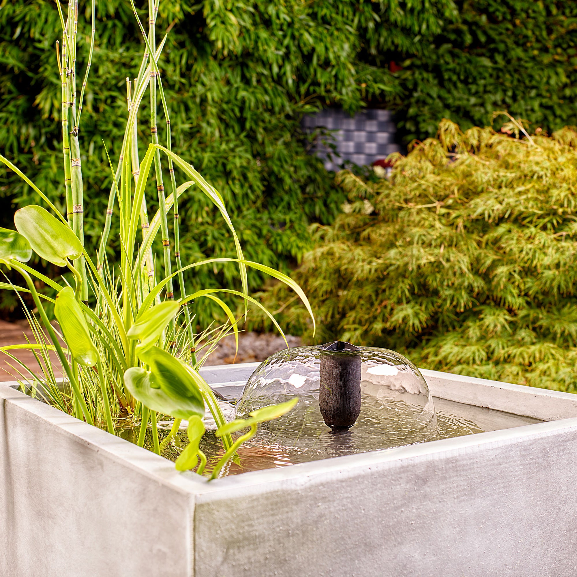 Atlantic Watergardens: Filtral UVC | In-pond Filtration with UV | Pond ...